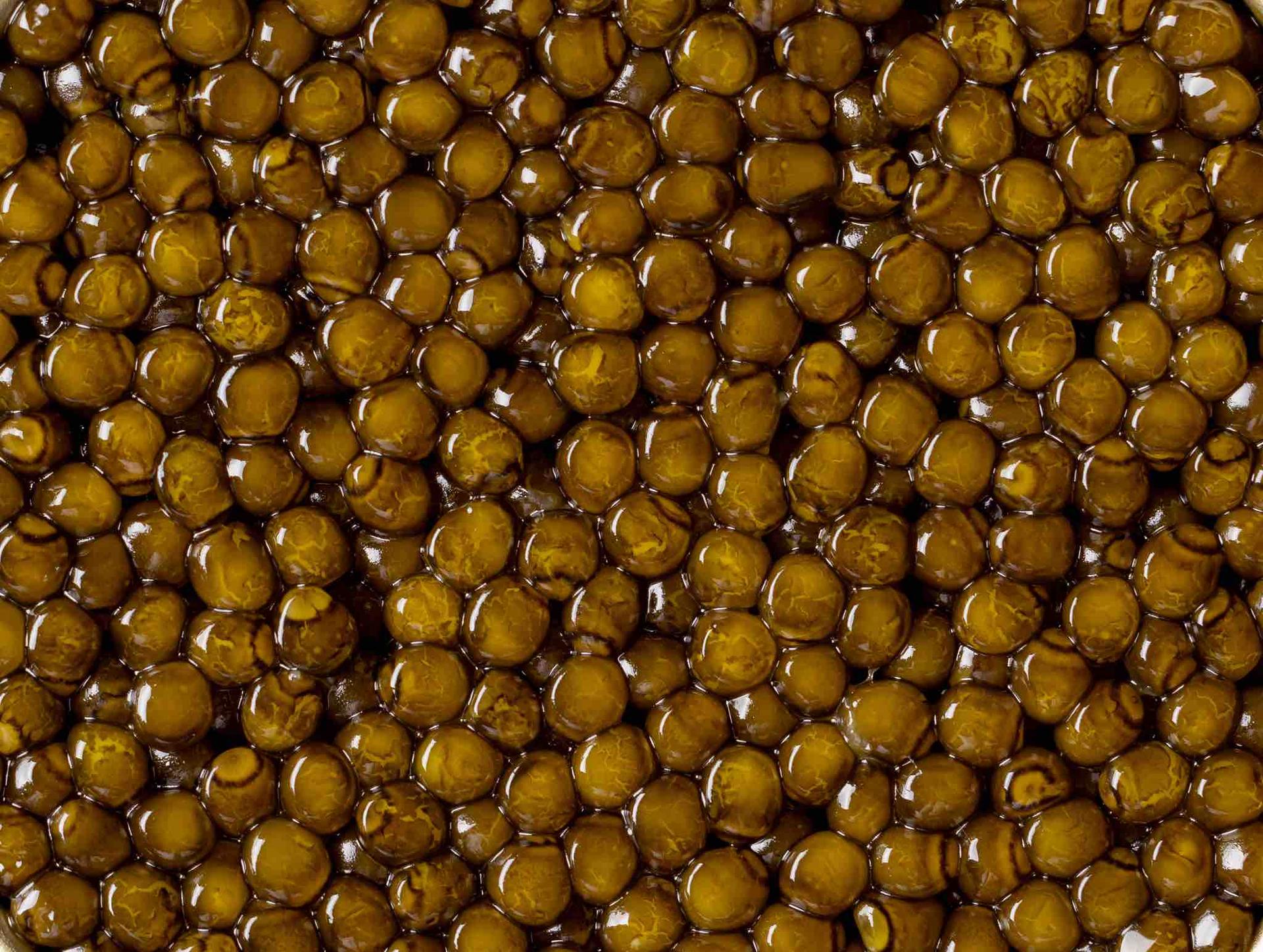 All Products - N25 - Caviar